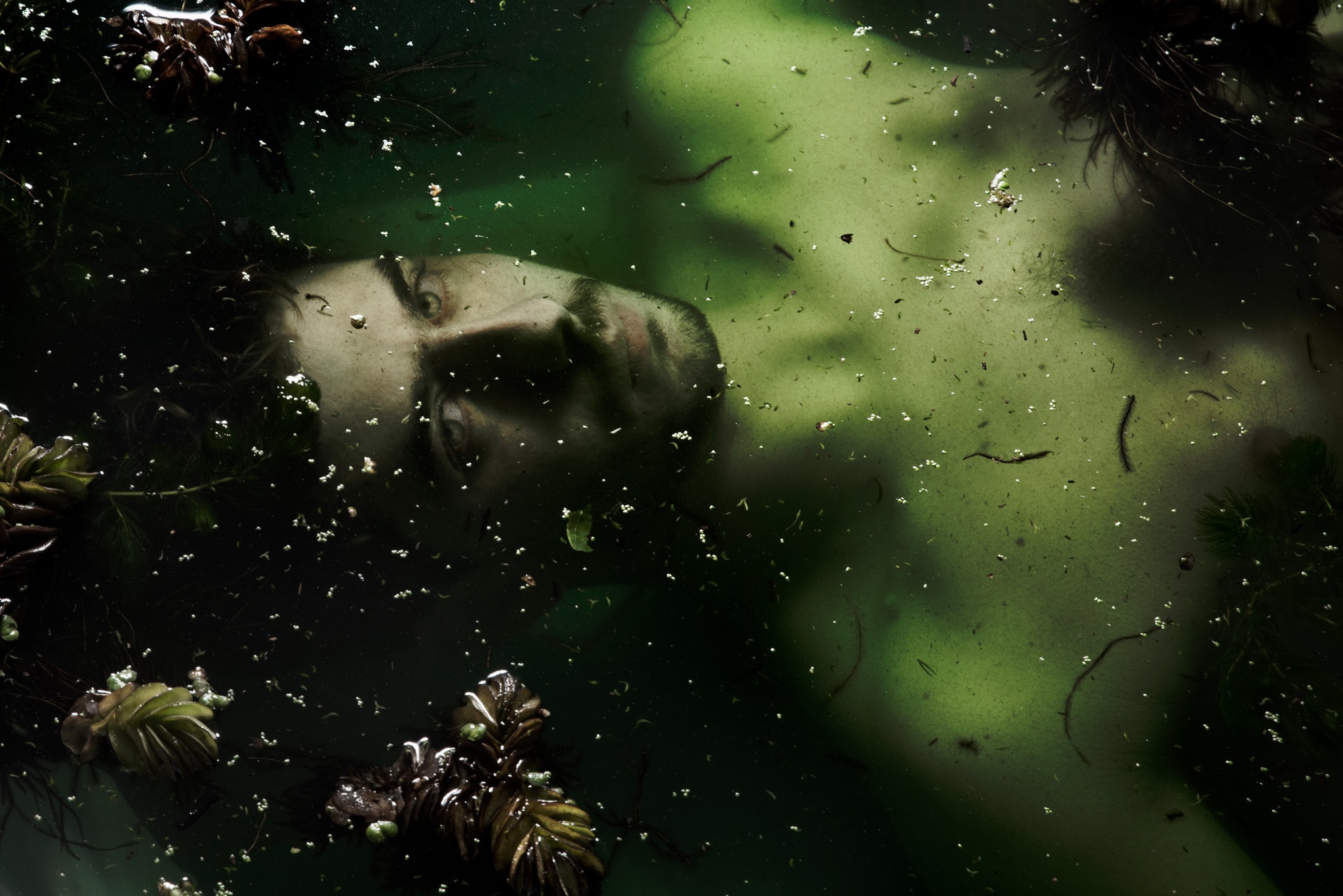 Pantropical: Lechuga Zafiro, El Plvybxy, Rattlesnakke, Blondewednesday ...